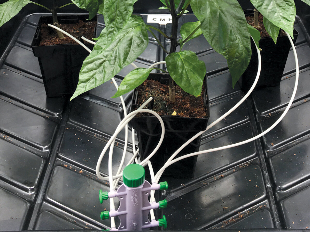 Selecting spaghetti tubing and stakes - Hawthorne Gardening Co.