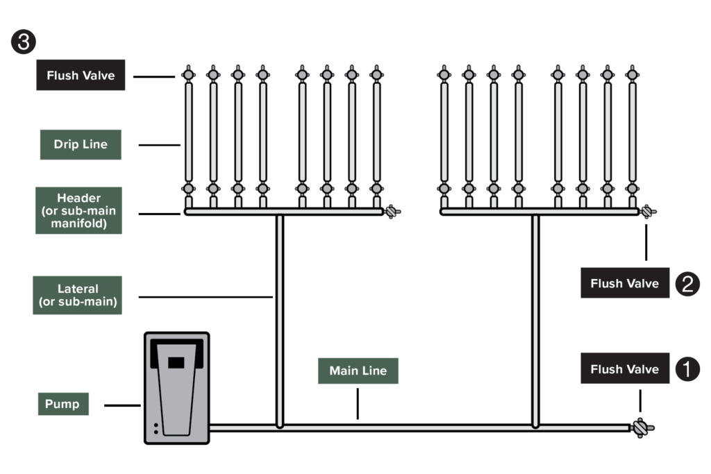 Biofilm treatment - Hawthorne Gardening Co.
