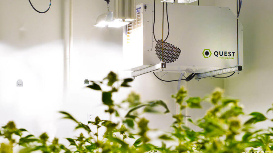 4 Steps For Designing a More Efficient Commercial Drip Irrigation ...